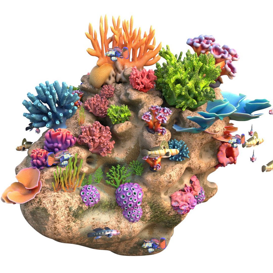 3D Coral Reef Rock 2 - TurboSquid 2457435