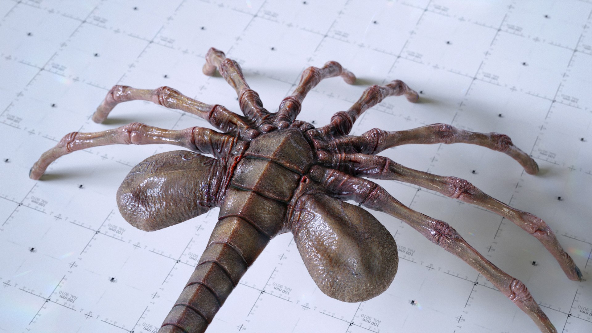 3D Model Alien Facehugger - Asset - TurboSquid 1479274