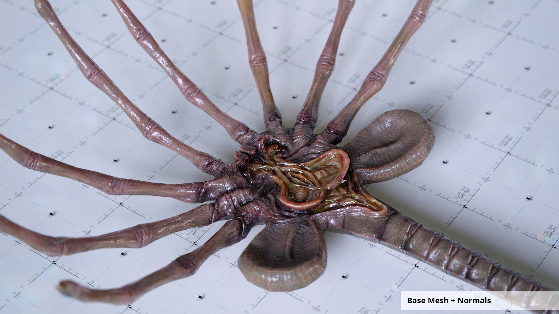3D Model Alien Facehugger - Asset - TurboSquid 1479274