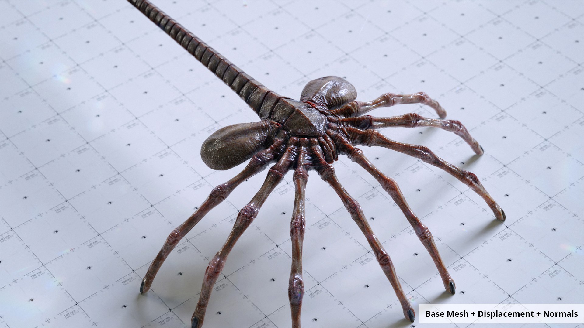 3D Model Alien Facehugger - Asset - TurboSquid 1479274