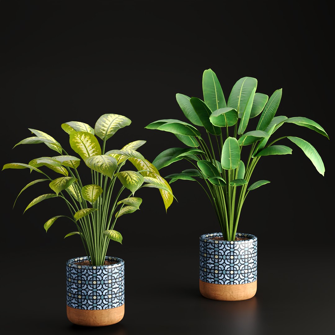 3D Plants New Collection Vol 21 Model - TurboSquid 1948527