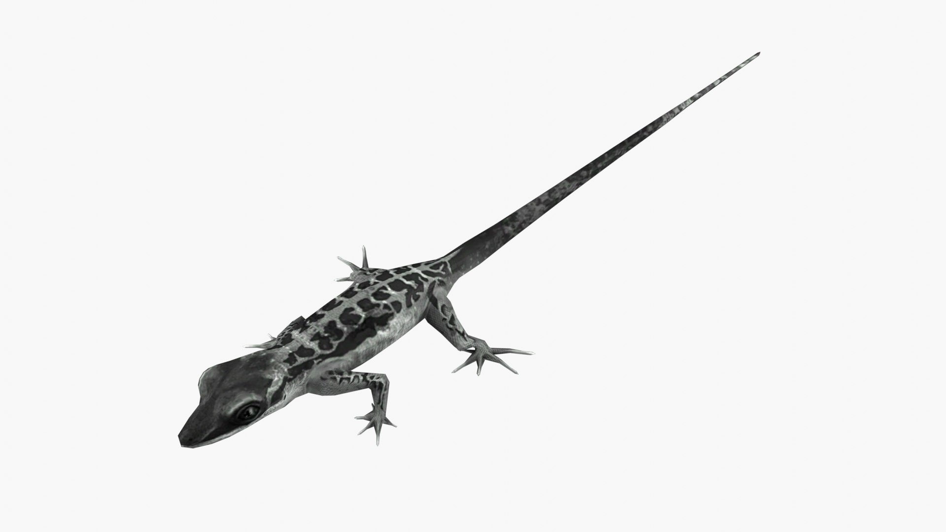 Lizard 3D Model - TurboSquid 2370539