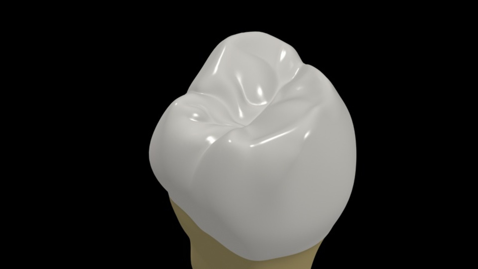 Arch Permanent Human Teeth 3D Model - TurboSquid 1509122