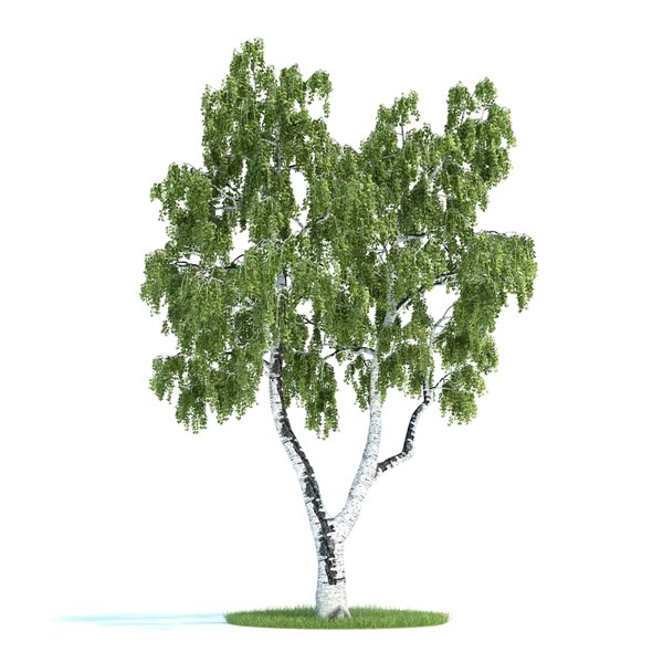 3d archmodels vol 58 trees model