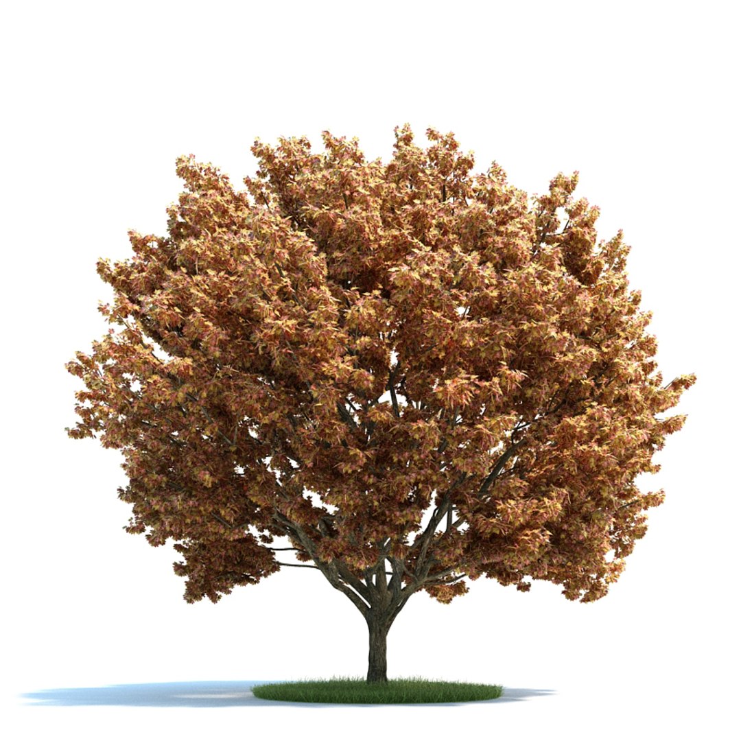 3d archmodels vol 58 trees model