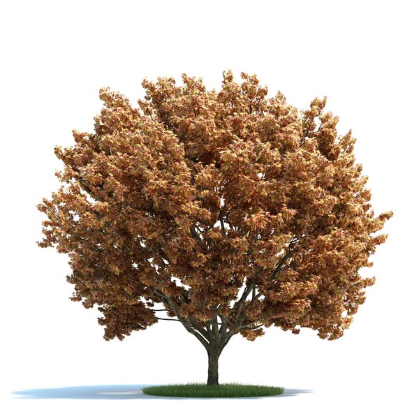 3d archmodels vol 58 trees model