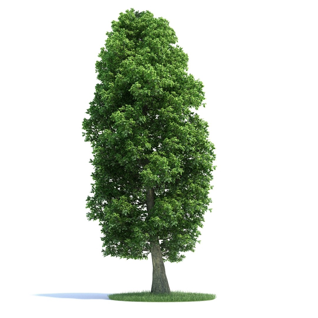 3d archmodels vol 58 trees model