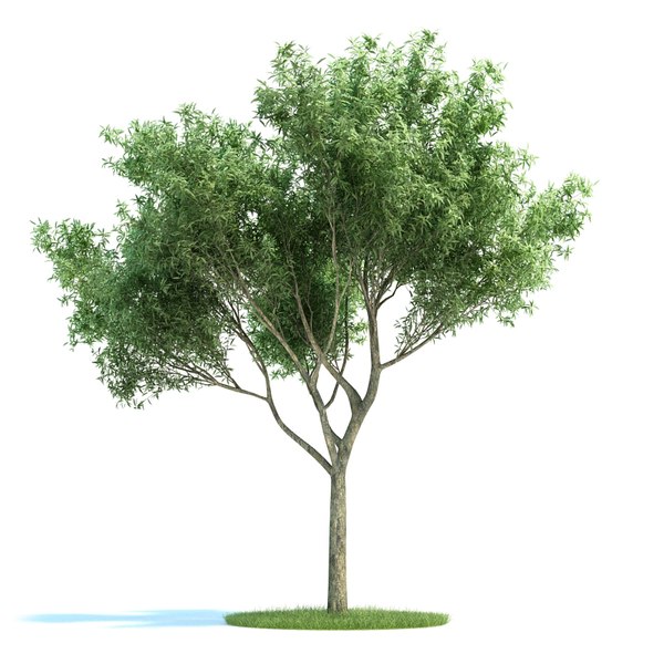 3d archmodels vol 58 trees model