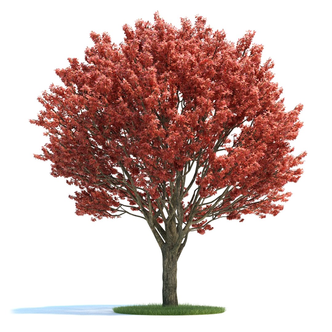 3d archmodels vol 58 trees model