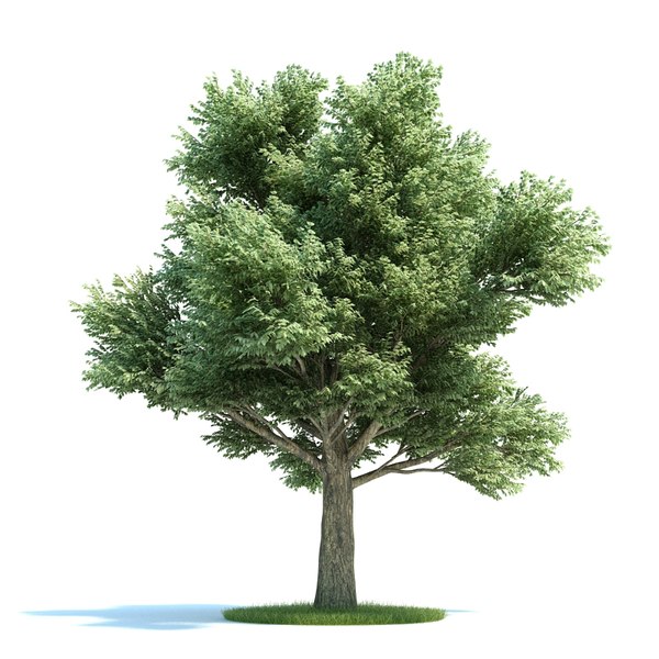 3d archmodels vol 58 trees model