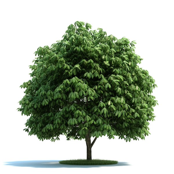 3d archmodels vol 58 trees model