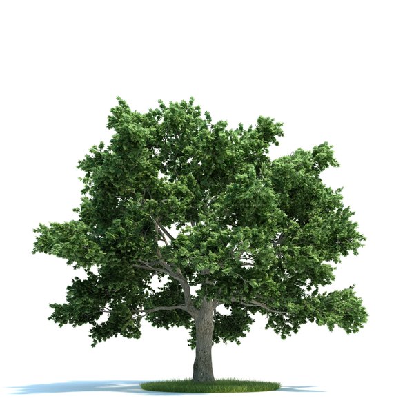 3d archmodels vol 58 trees model