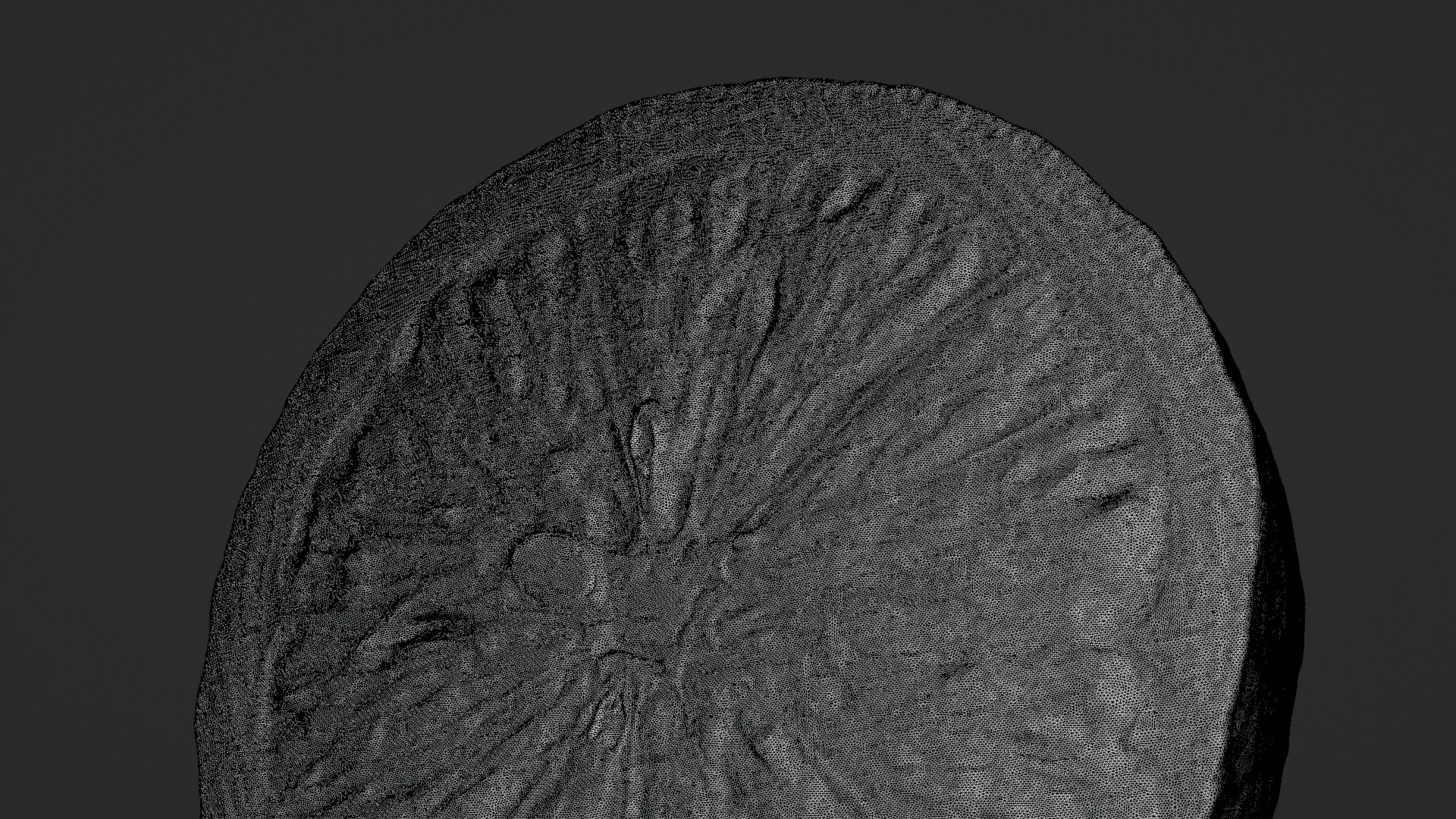 3D Lemon 01 Cut 1 For 3D Print - TurboSquid 2406707