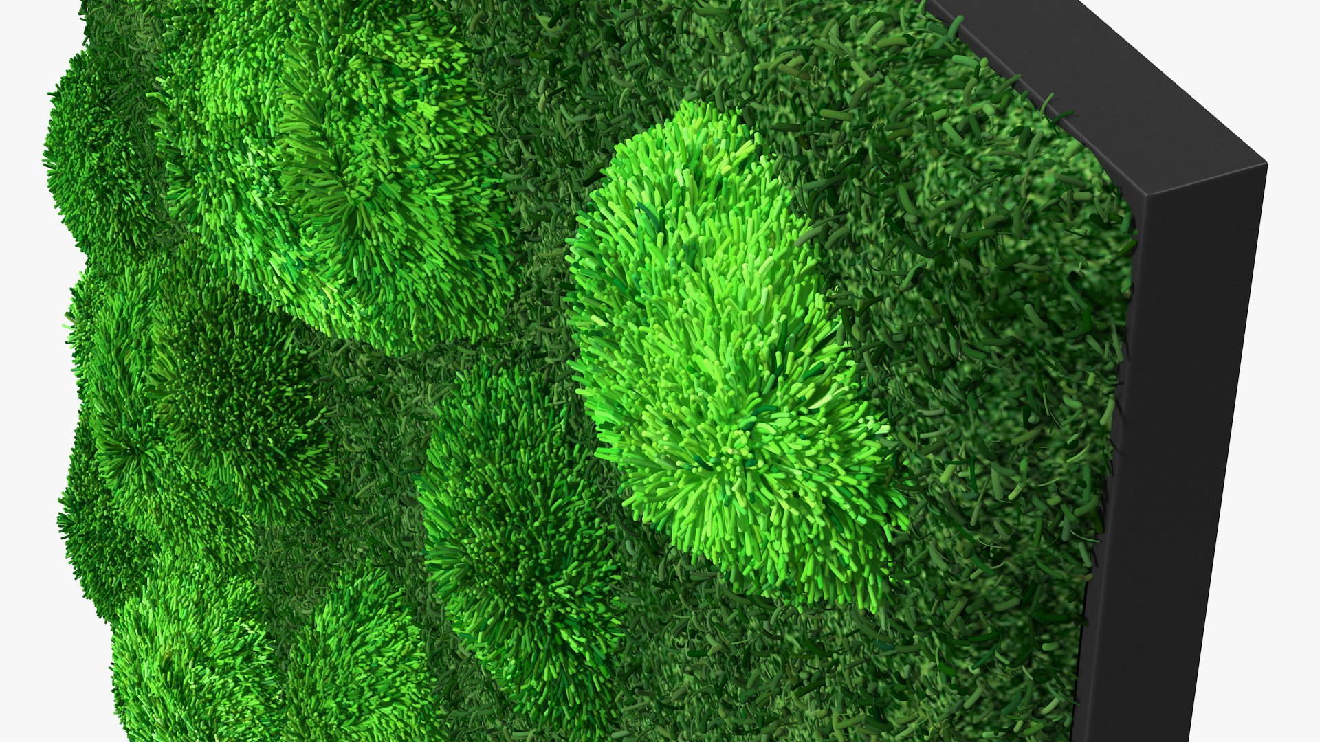 Evergreen Moss Vertical Garden 3D Model - TurboSquid 1656953