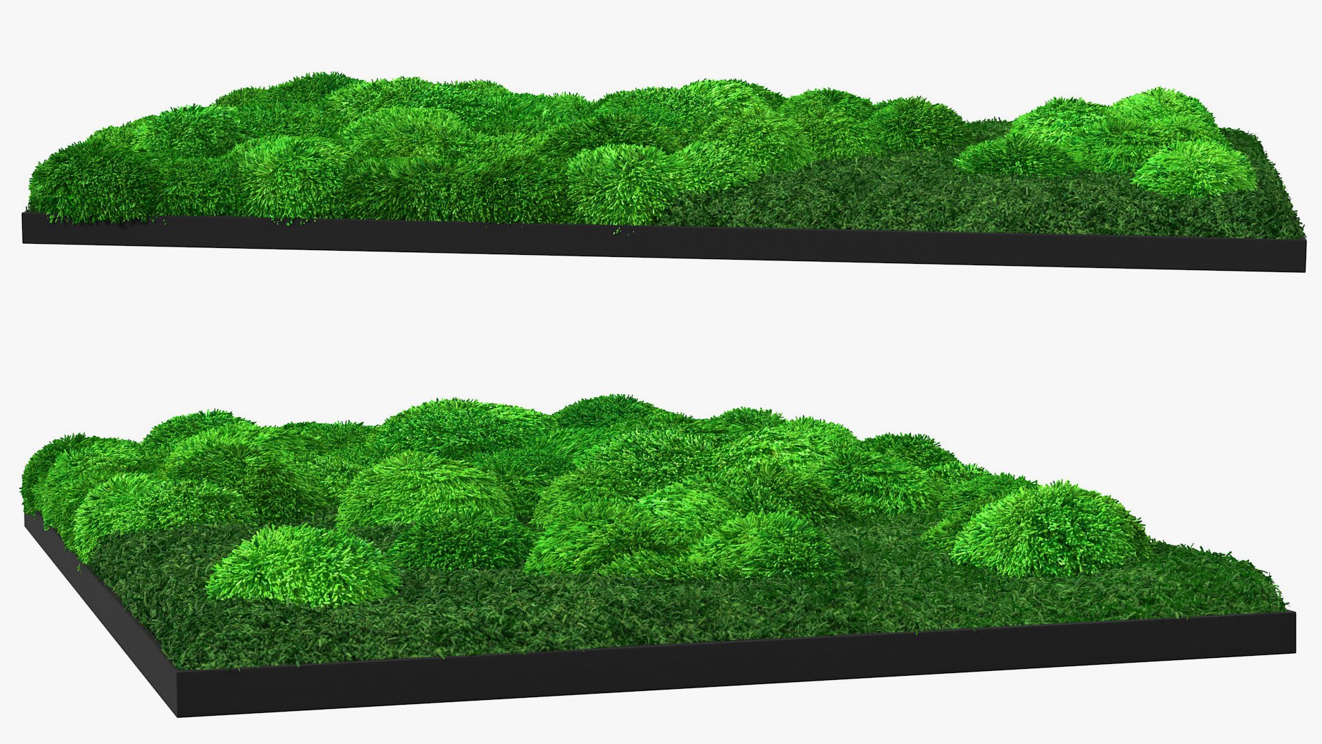 Evergreen Moss Vertical Garden 3D Model - TurboSquid 1656953