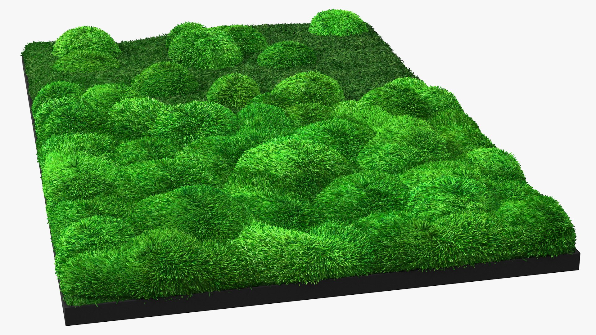 Evergreen Moss Vertical Garden 3D Model - TurboSquid 1656953