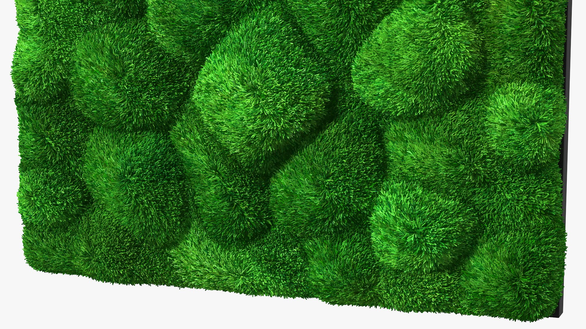 Evergreen Moss Vertical Garden 3D Model - TurboSquid 1656953