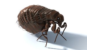 Flea 3D Models for Download | TurboSquid