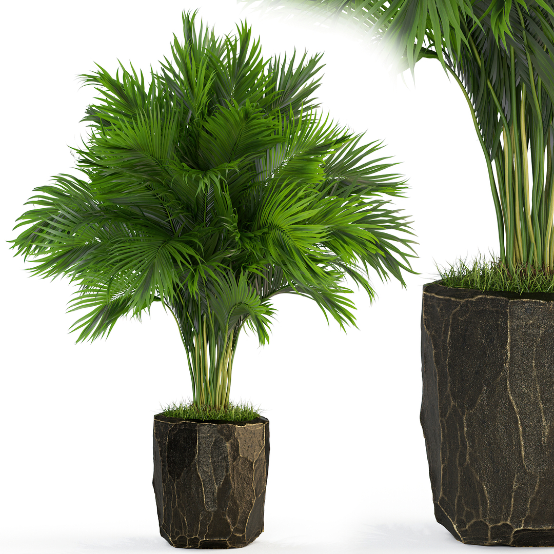 3D plants model - TurboSquid 1700809
