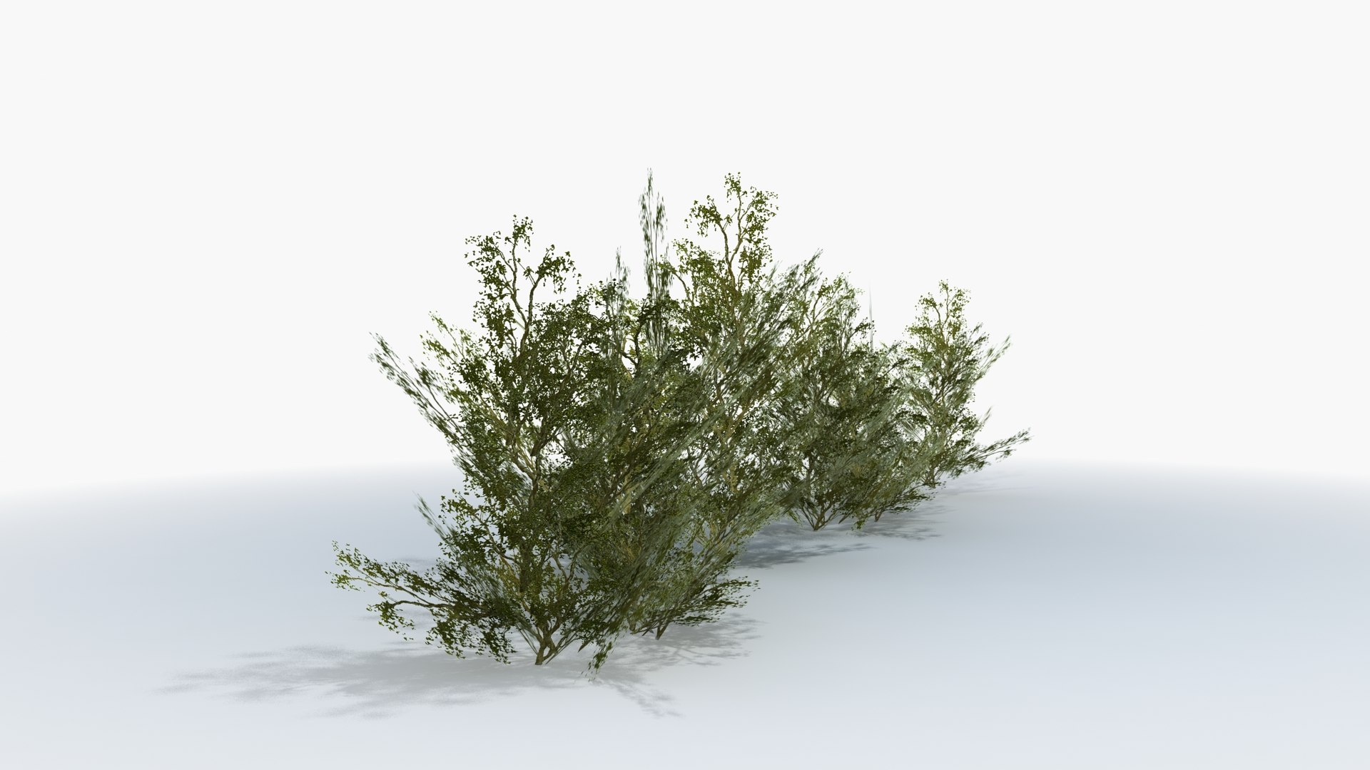 3D Shrubs - TurboSquid 1848409