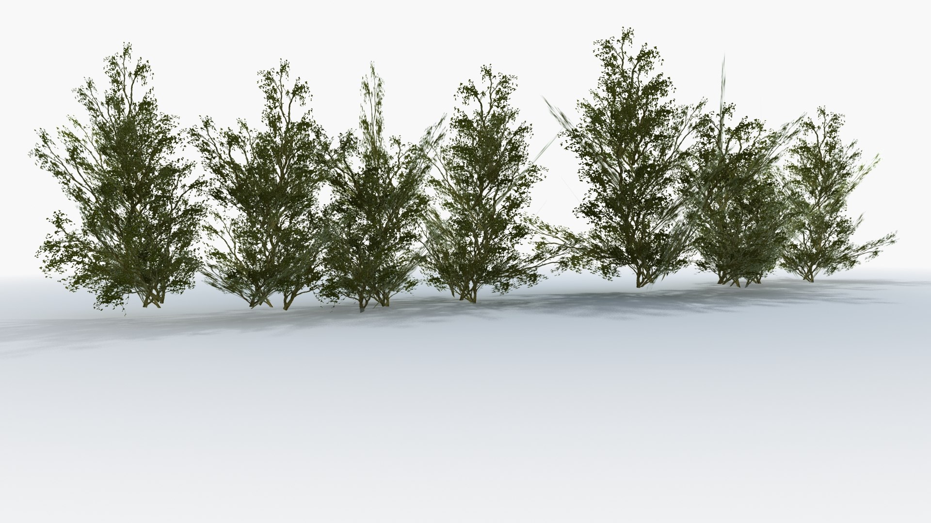 3D Shrubs - TurboSquid 1848409