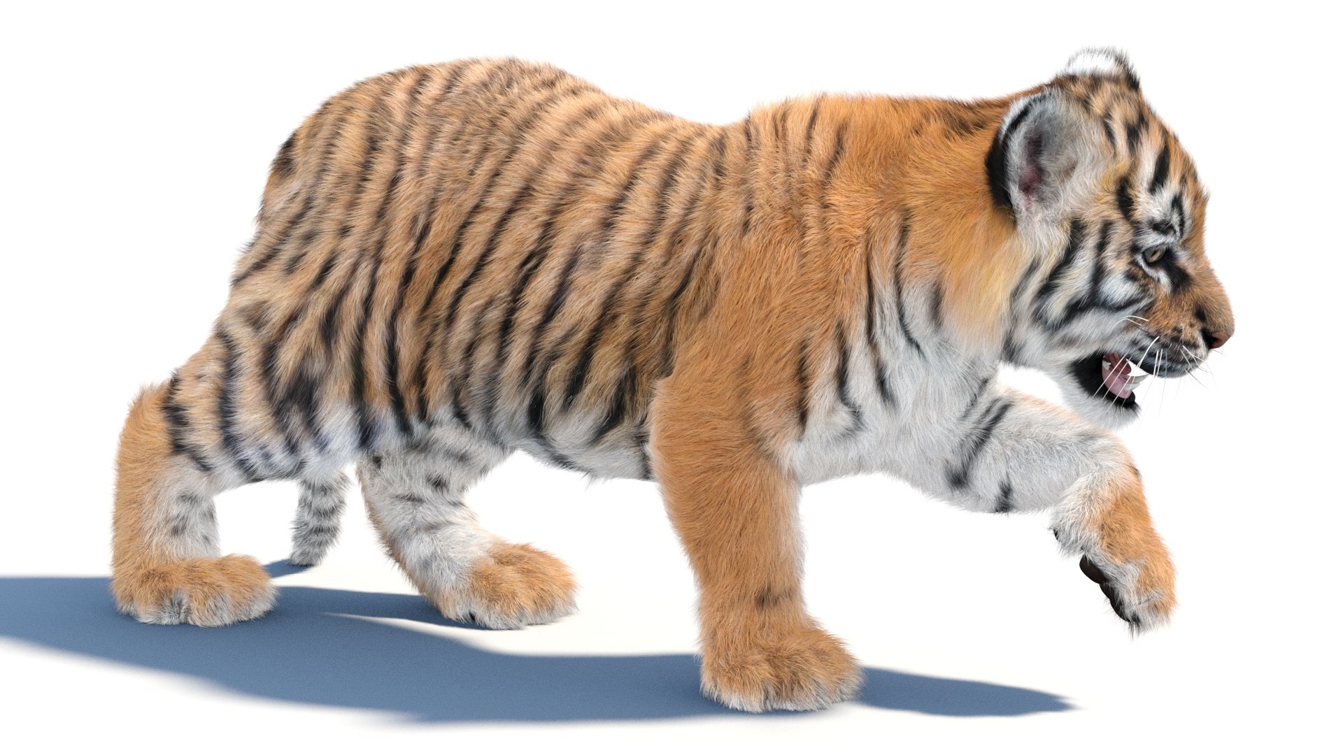 3D Rigged Tiger Cub 3D Model Fur - TurboSquid 2342238