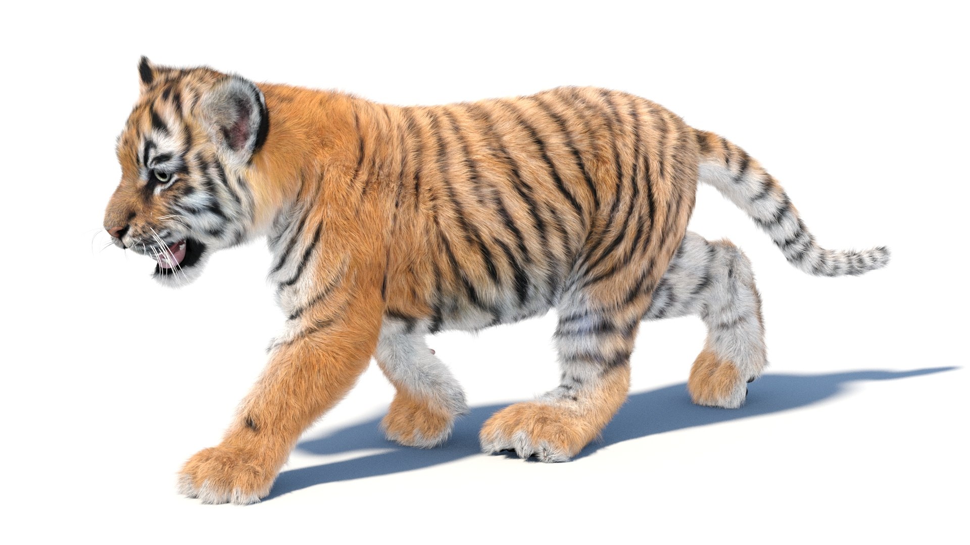 3D Rigged Tiger Cub 3D Model Fur - TurboSquid 2342238