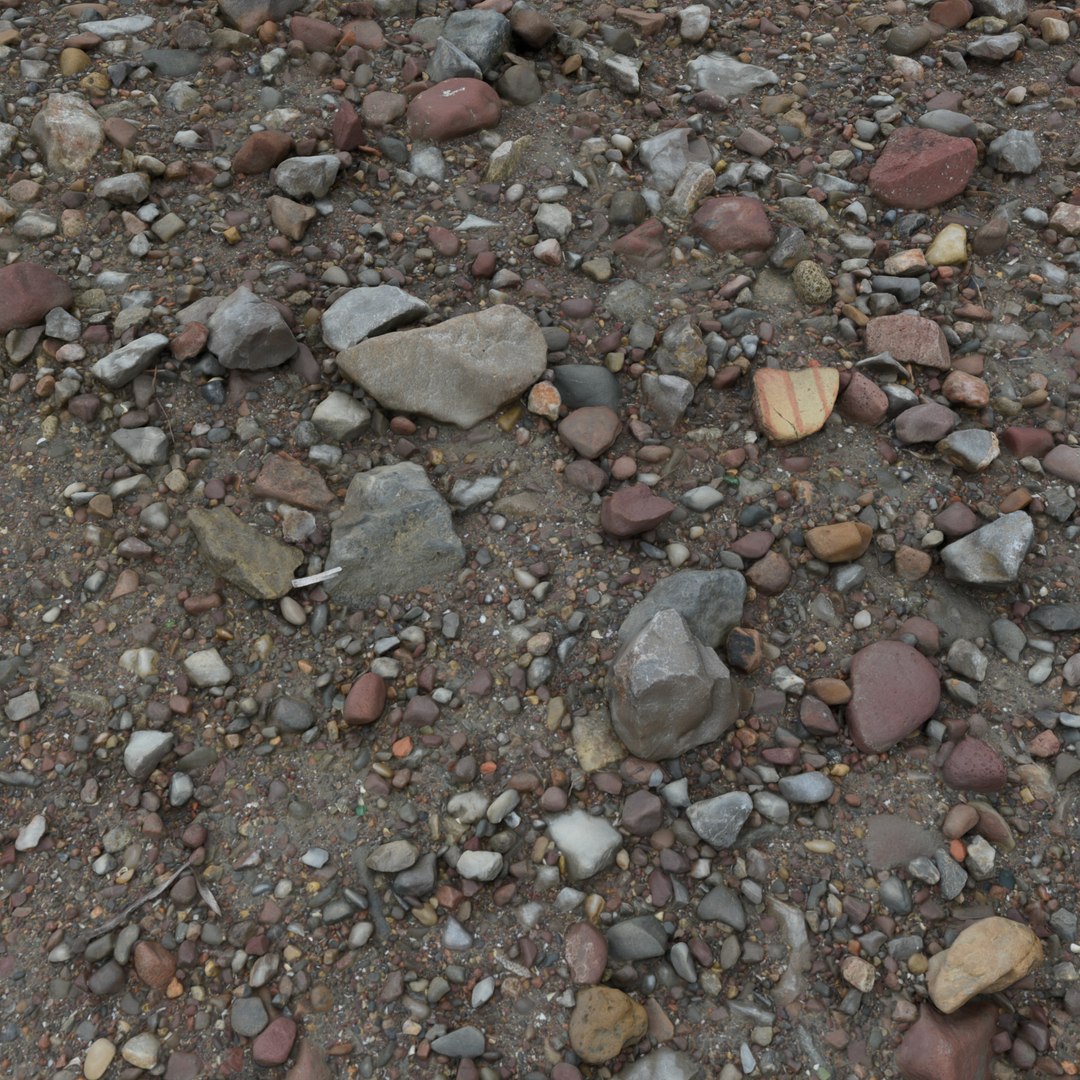 3D Model Scan Pebbles Ground Floor - TurboSquid 1543835