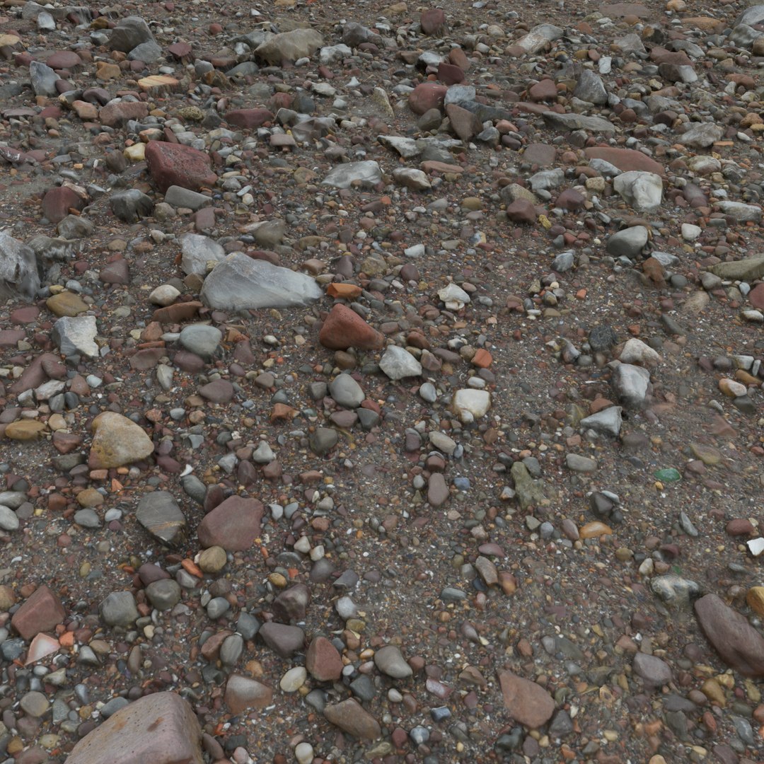 3D Model Scan Pebbles Ground Floor - TurboSquid 1543835