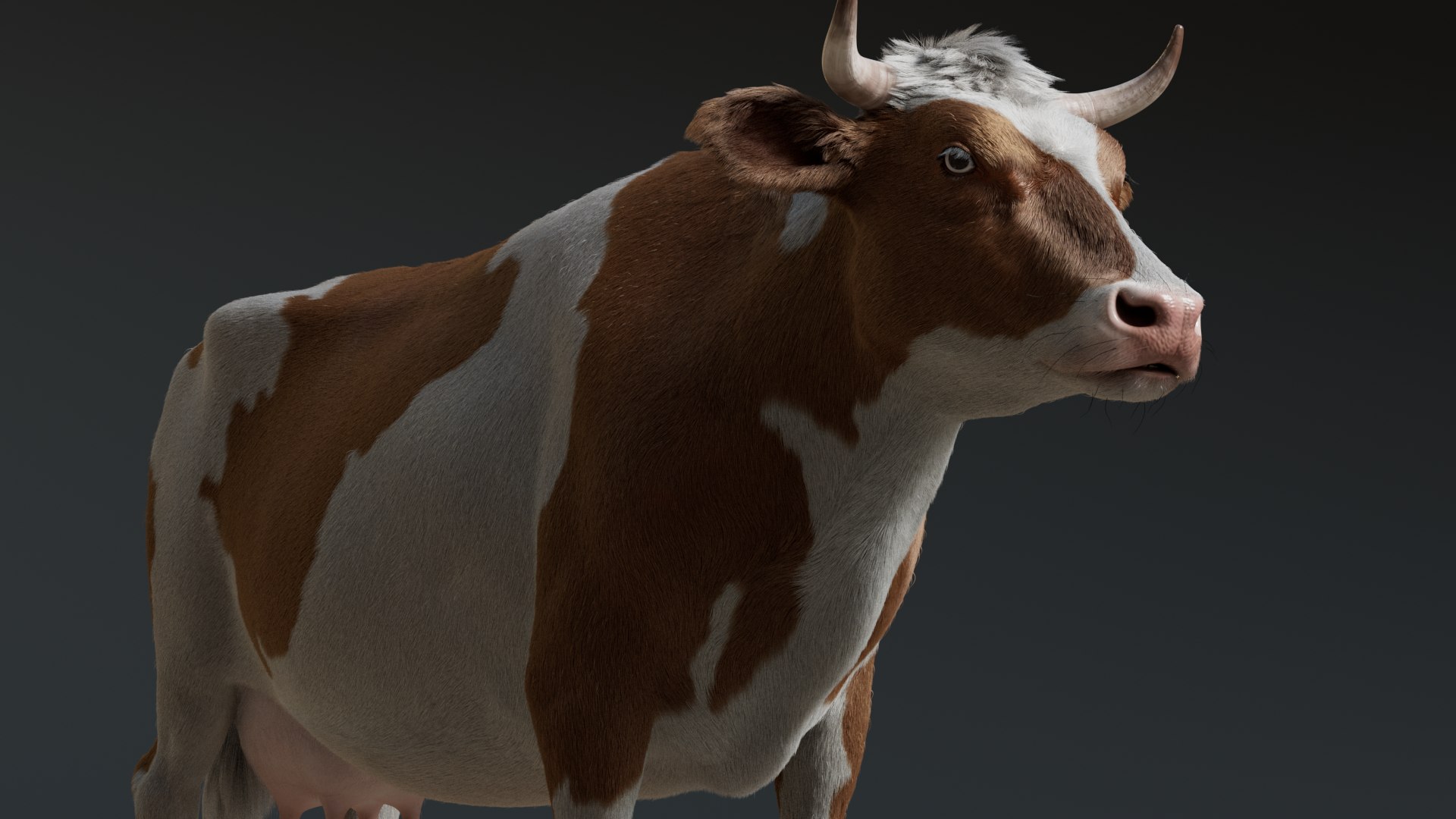 Cow Rigged Animated With 3 Textures 3D Model - TurboSquid 2099905