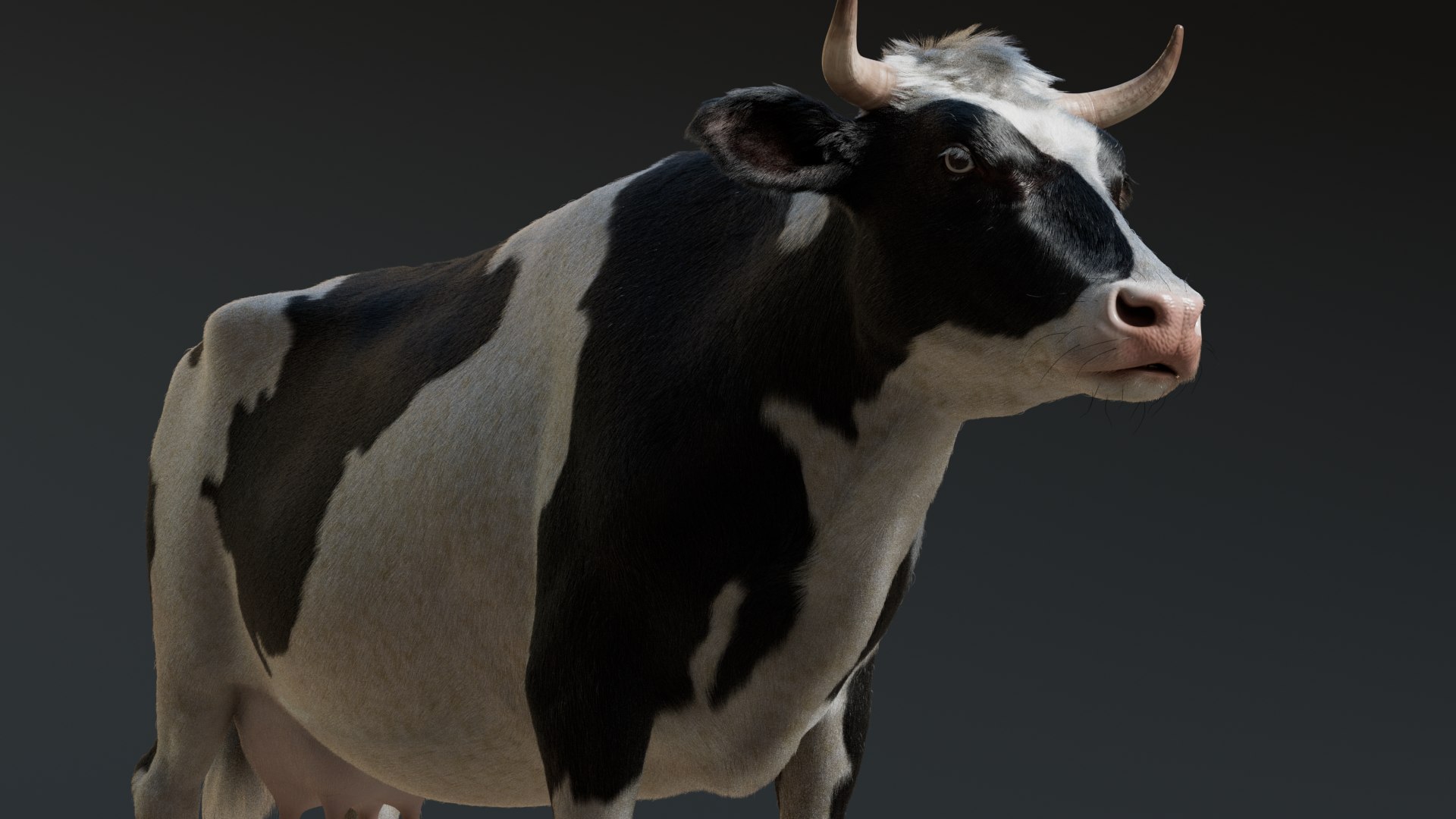 Cow Rigged Animated With 3 Textures 3D Model - TurboSquid 2099905