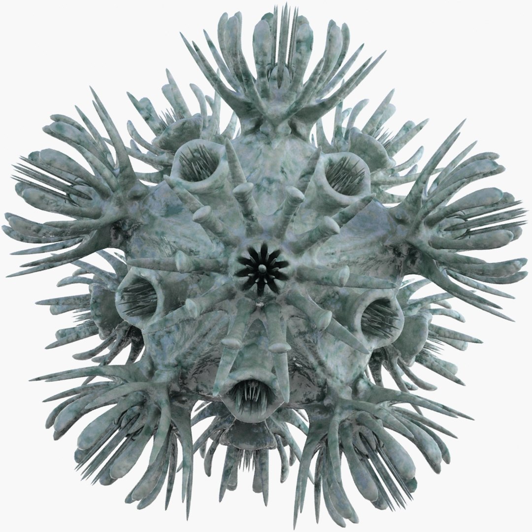 Micro Object Mht 3d Max