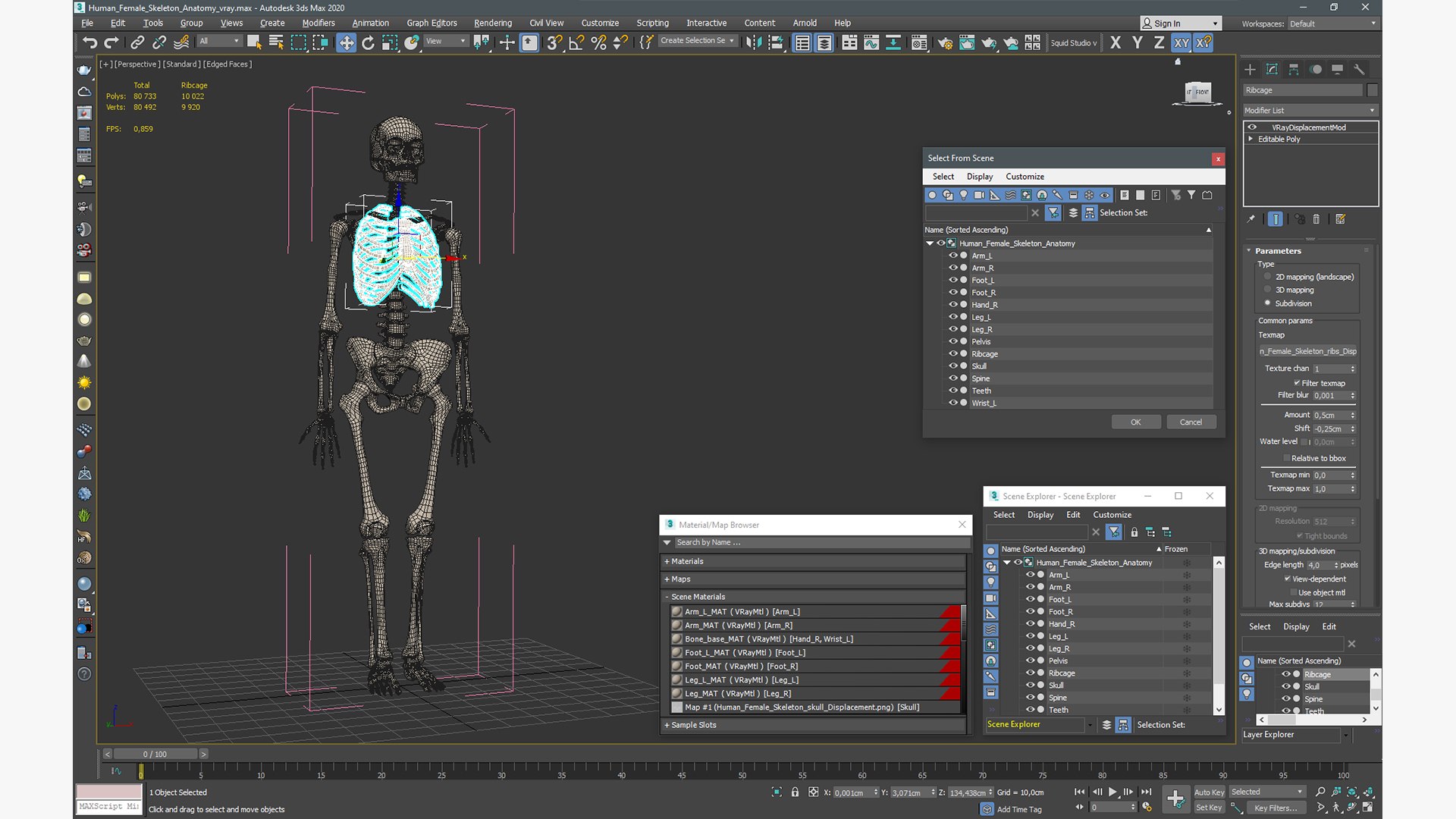 3D Human Female Skeleton Anatomy - TurboSquid 2385224