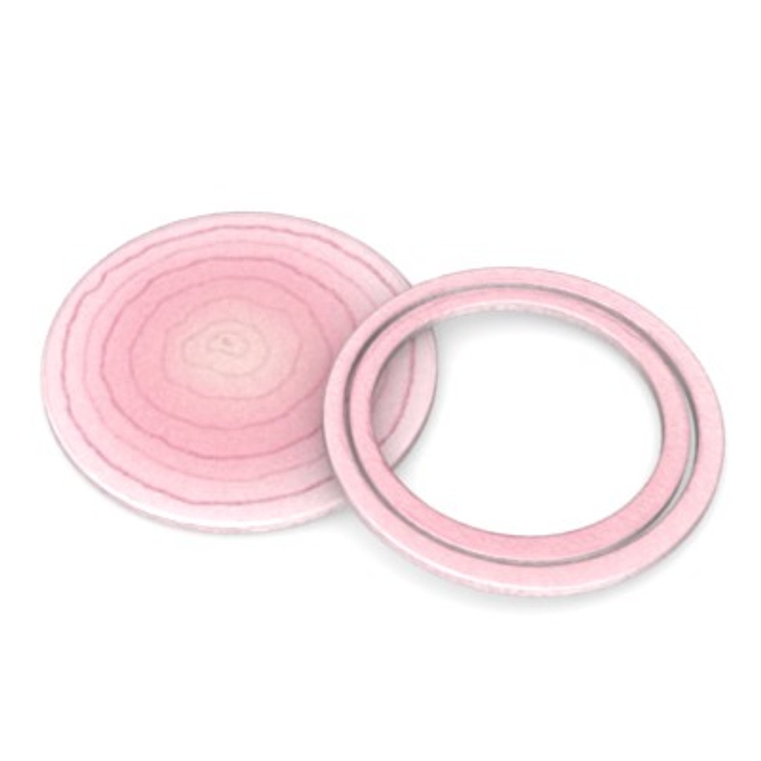 3d model onion slices
