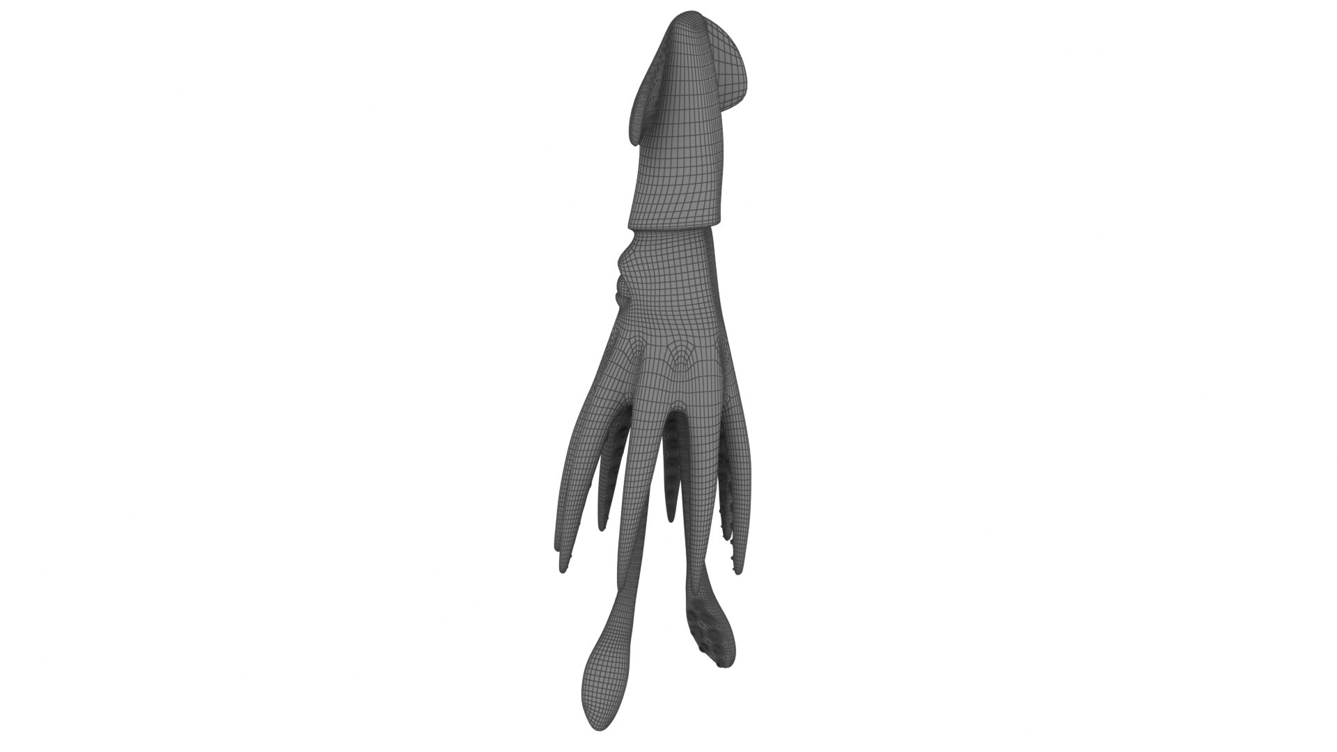 Cartoon Squid 3D Model - TurboSquid 2080671