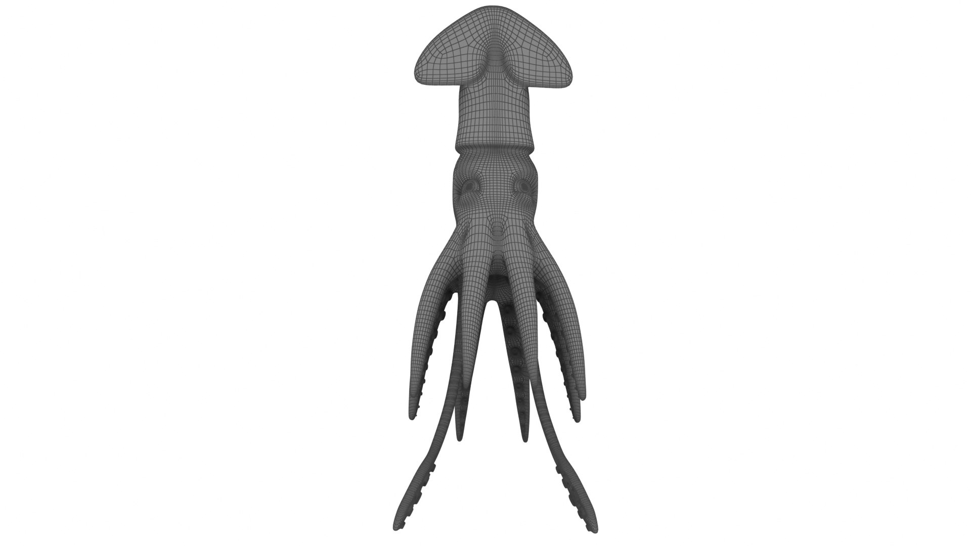 Cartoon Squid 3D Model - TurboSquid 2080671