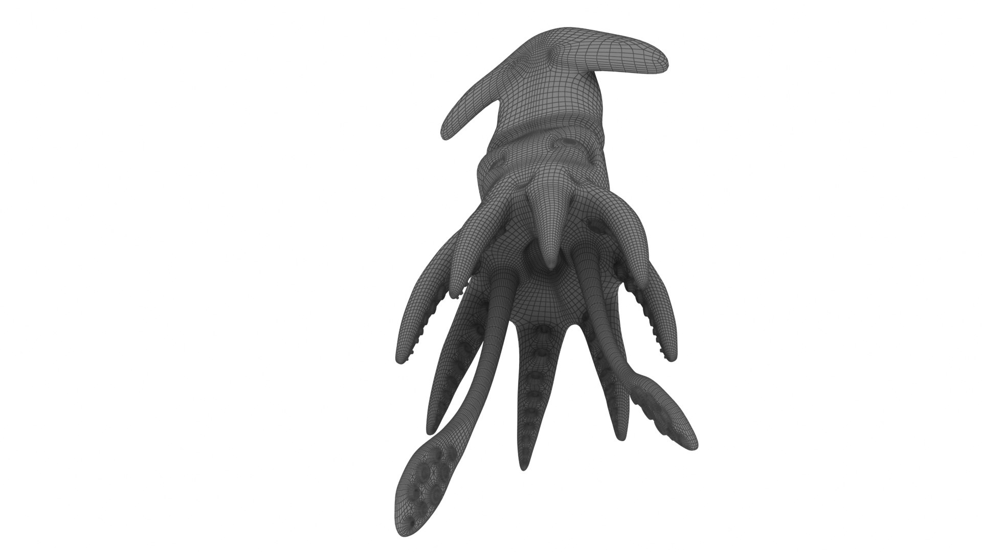 Cartoon Squid 3D Model - TurboSquid 2080671
