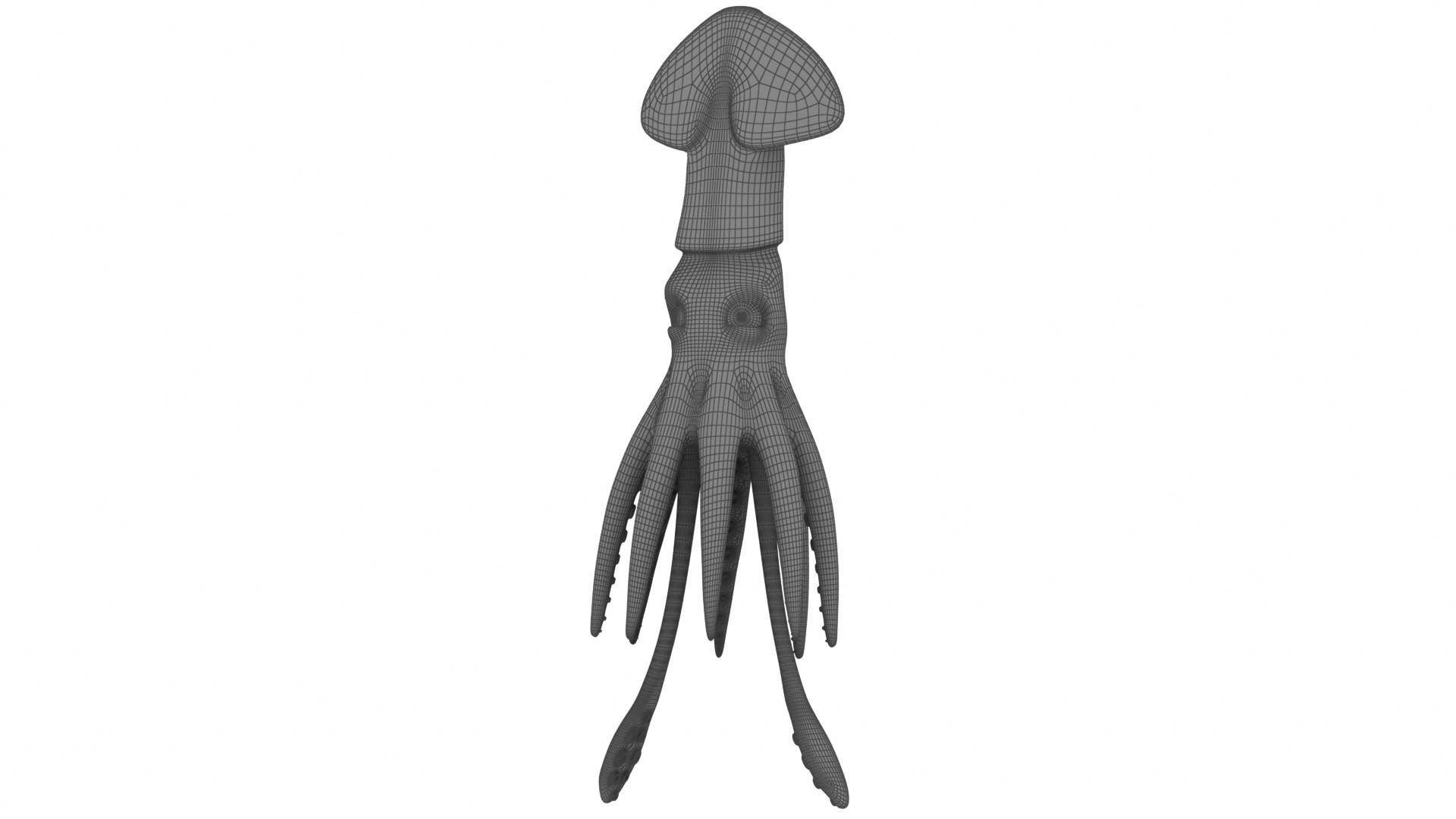 Cartoon Squid 3D Model - TurboSquid 2080671