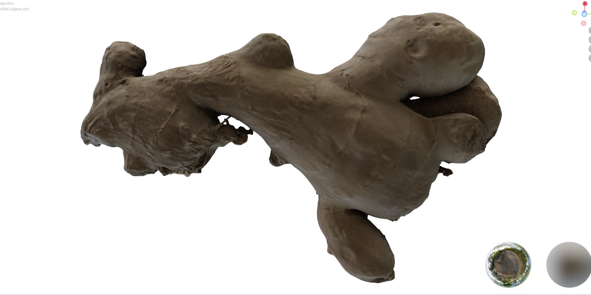 Ginger 4K Scanned 3D - TurboSquid 2013217