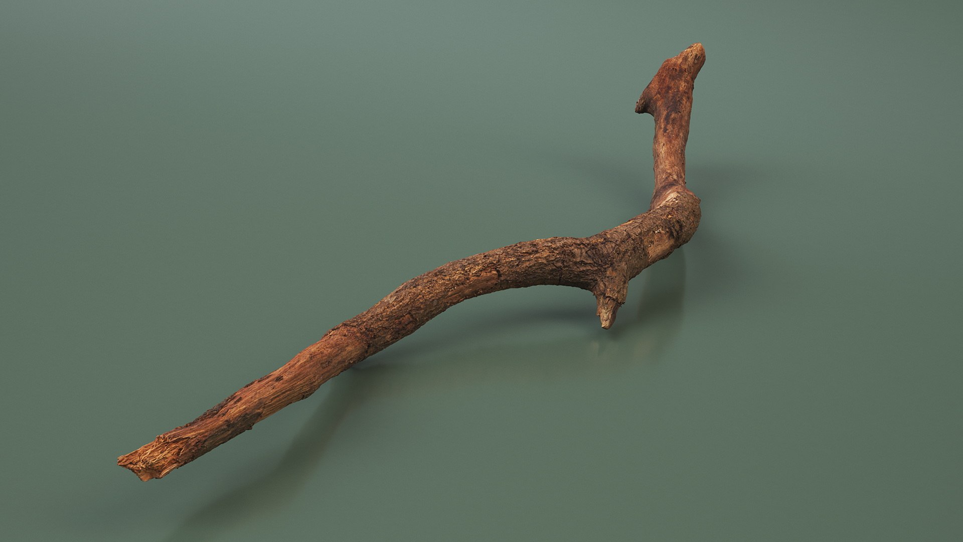 3D Fallen Dry Branch - TurboSquid 2273900