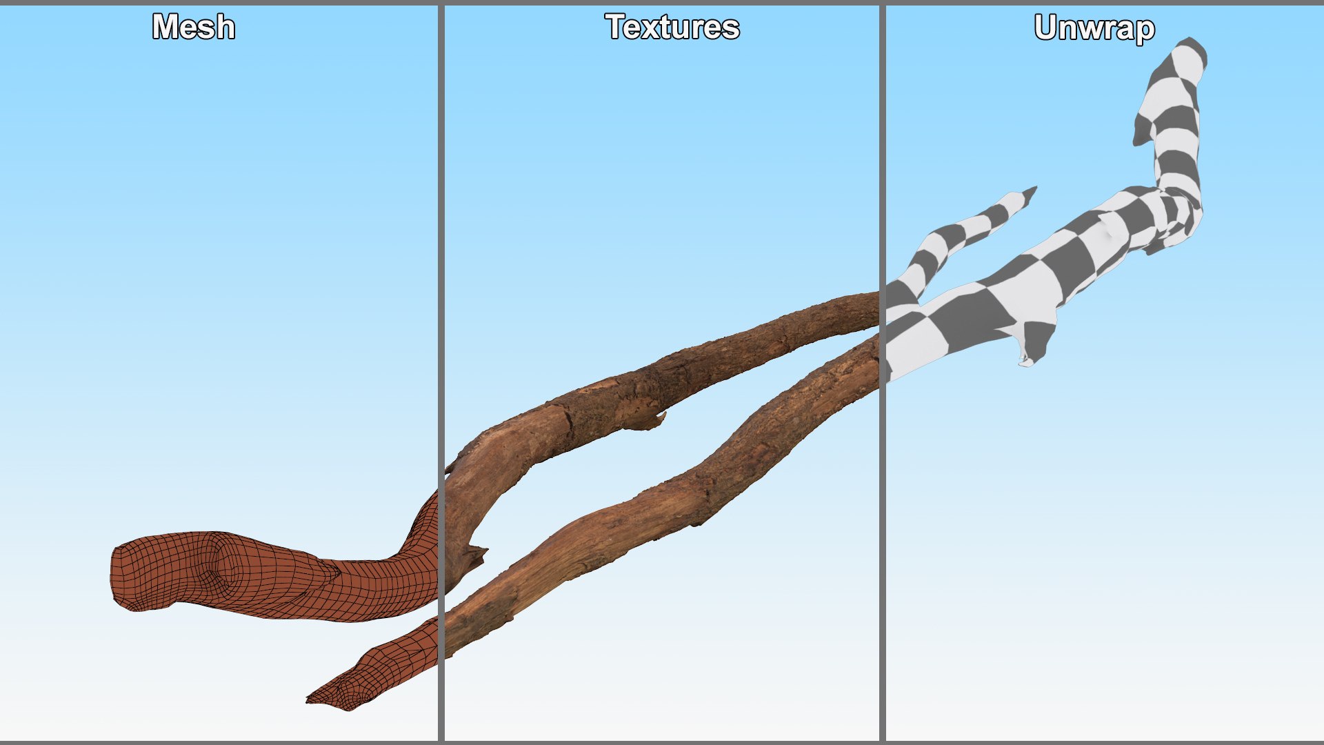 3D Fallen Dry Branch - TurboSquid 2273900