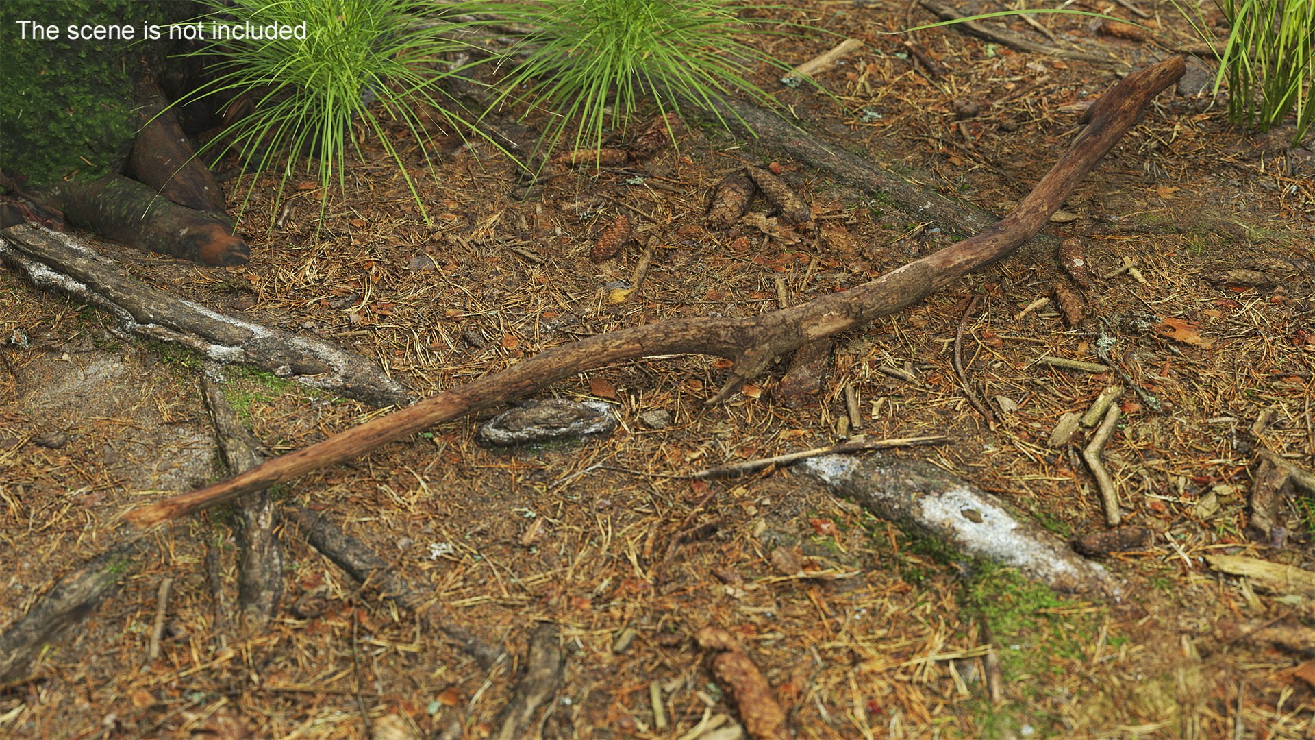3D Fallen Dry Branch - TurboSquid 2273900