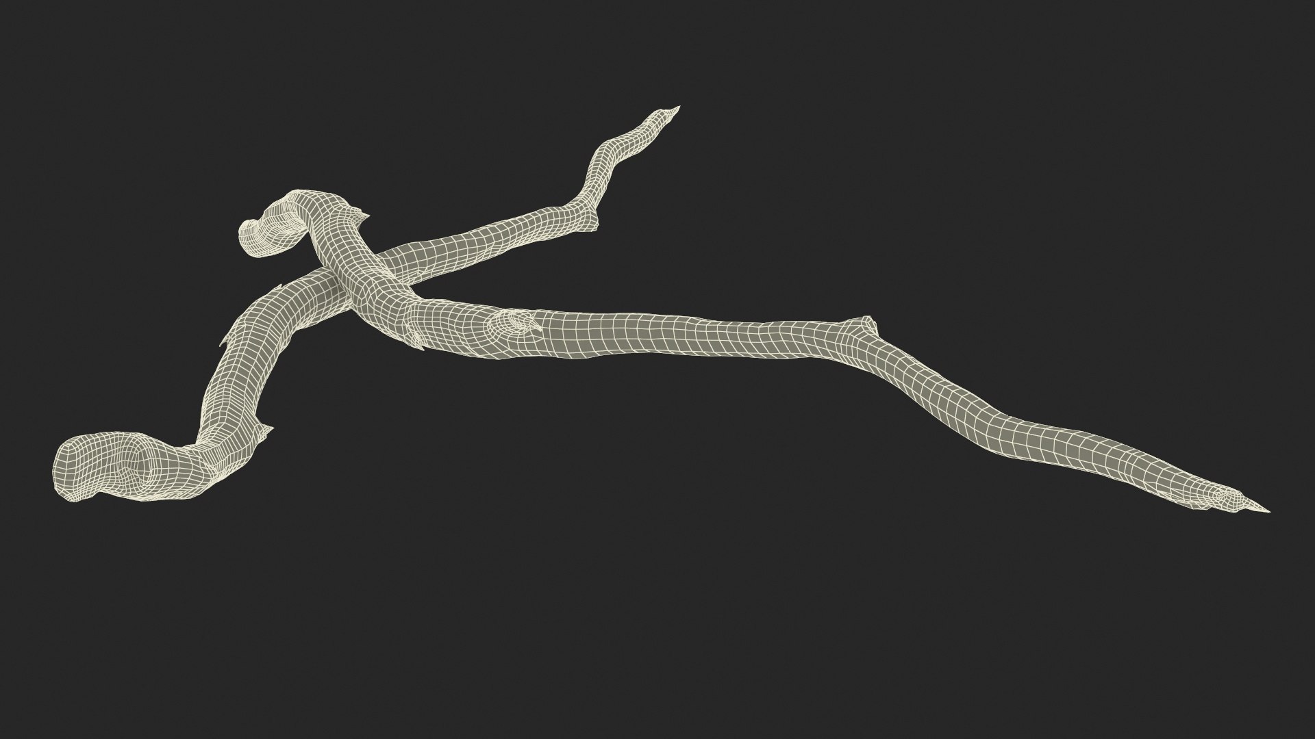 3D Fallen Dry Branch - TurboSquid 2273900