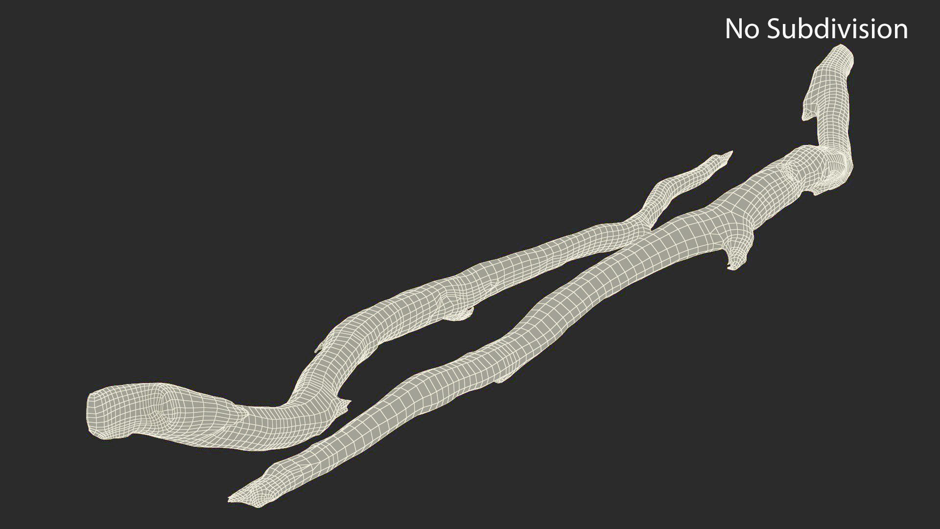 3D Fallen Dry Branch - TurboSquid 2273900