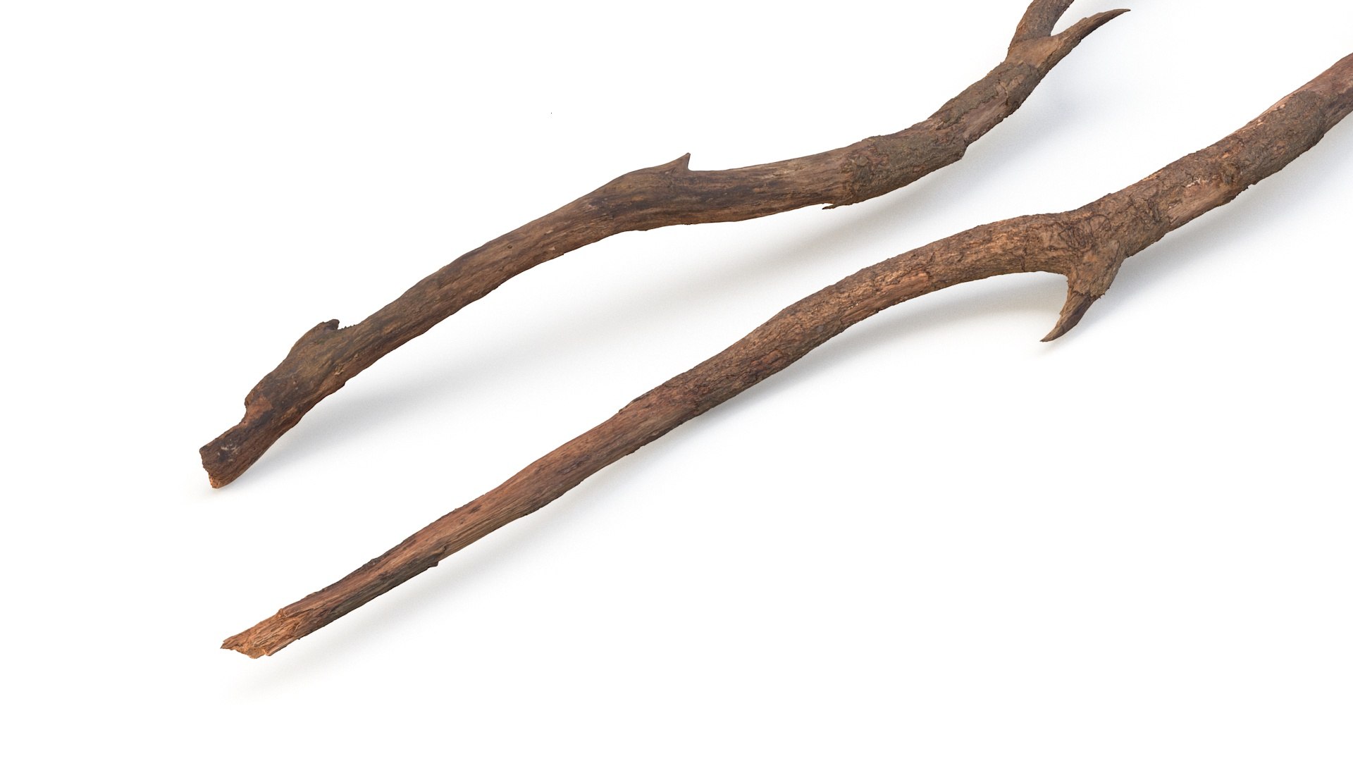 3D Fallen Dry Branch - TurboSquid 2273900