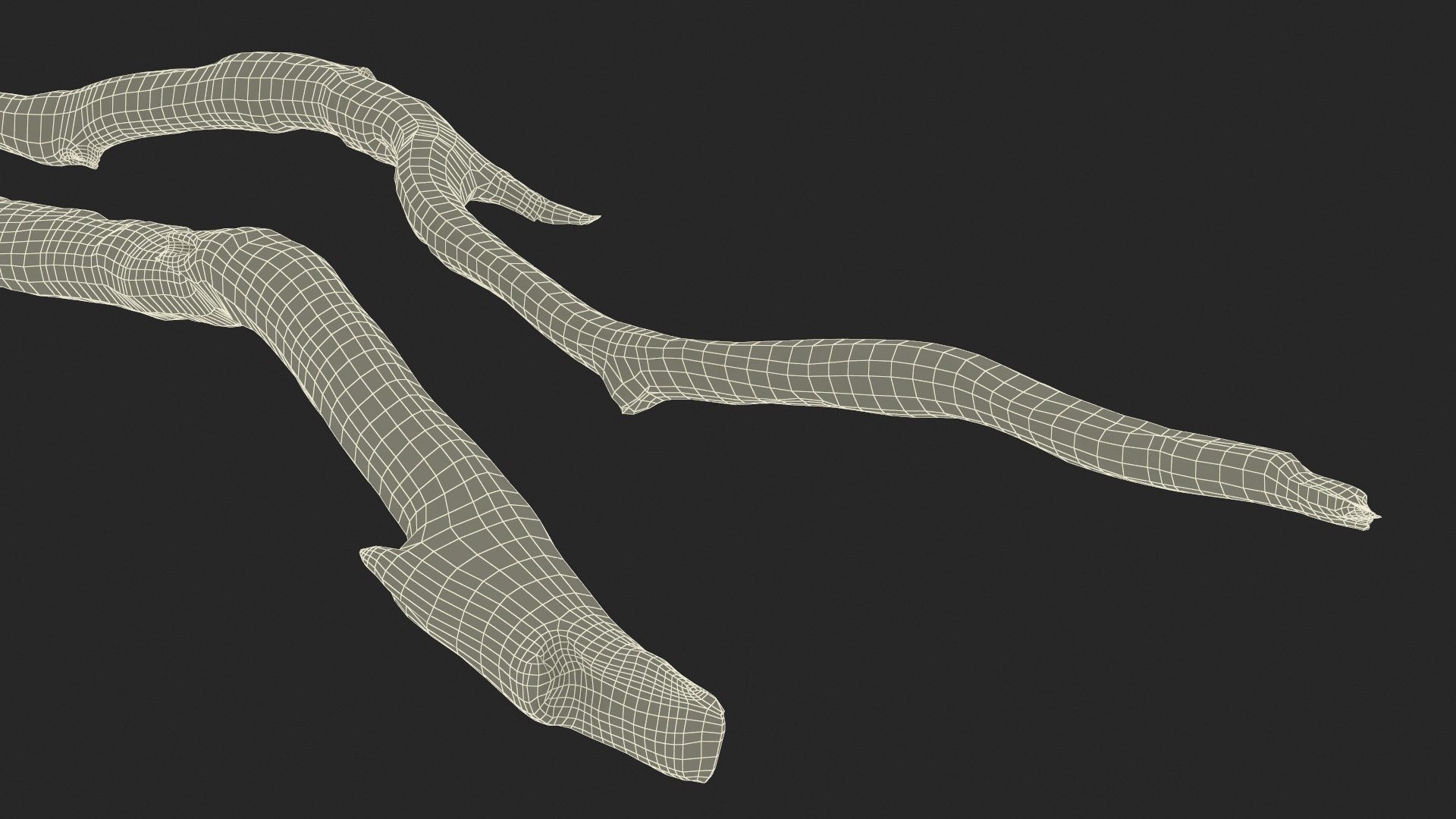 3D Fallen Dry Branch - TurboSquid 2273900