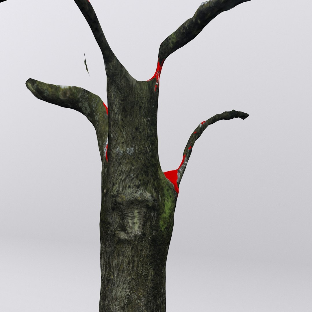 Free Dbuzzi Scan Tree Trunk 3d Model