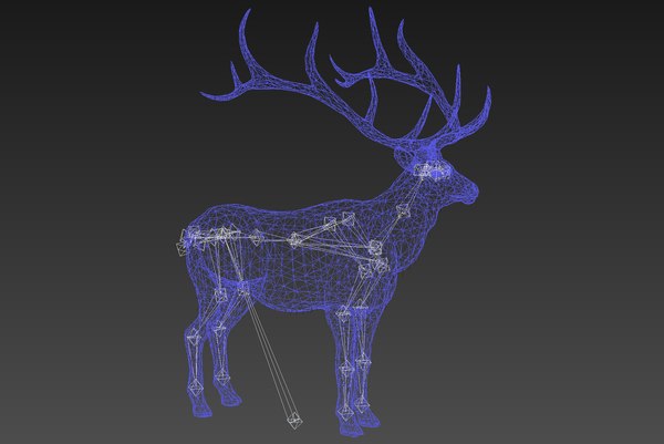 애니메이션 사슴 사슴 elaphurus 3D 모델 - TurboSquid 1776706