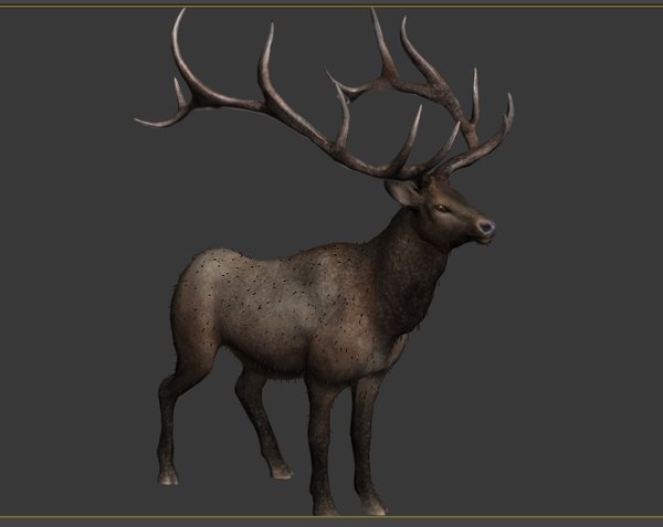 애니메이션 사슴 사슴 elaphurus 3D 모델 - TurboSquid 1776706