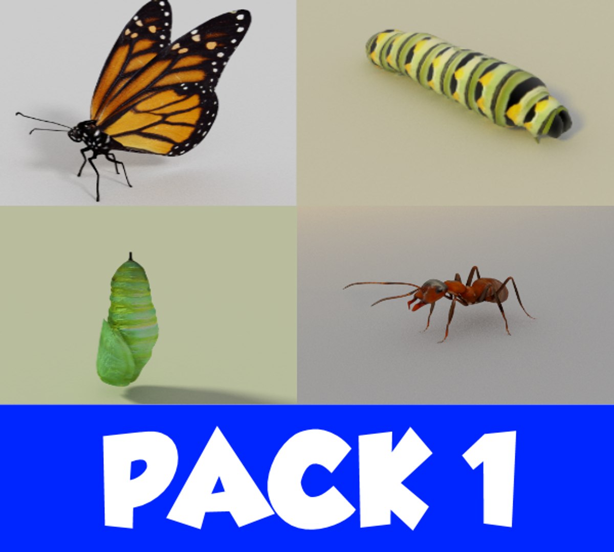 3d Model Insect Pack 1